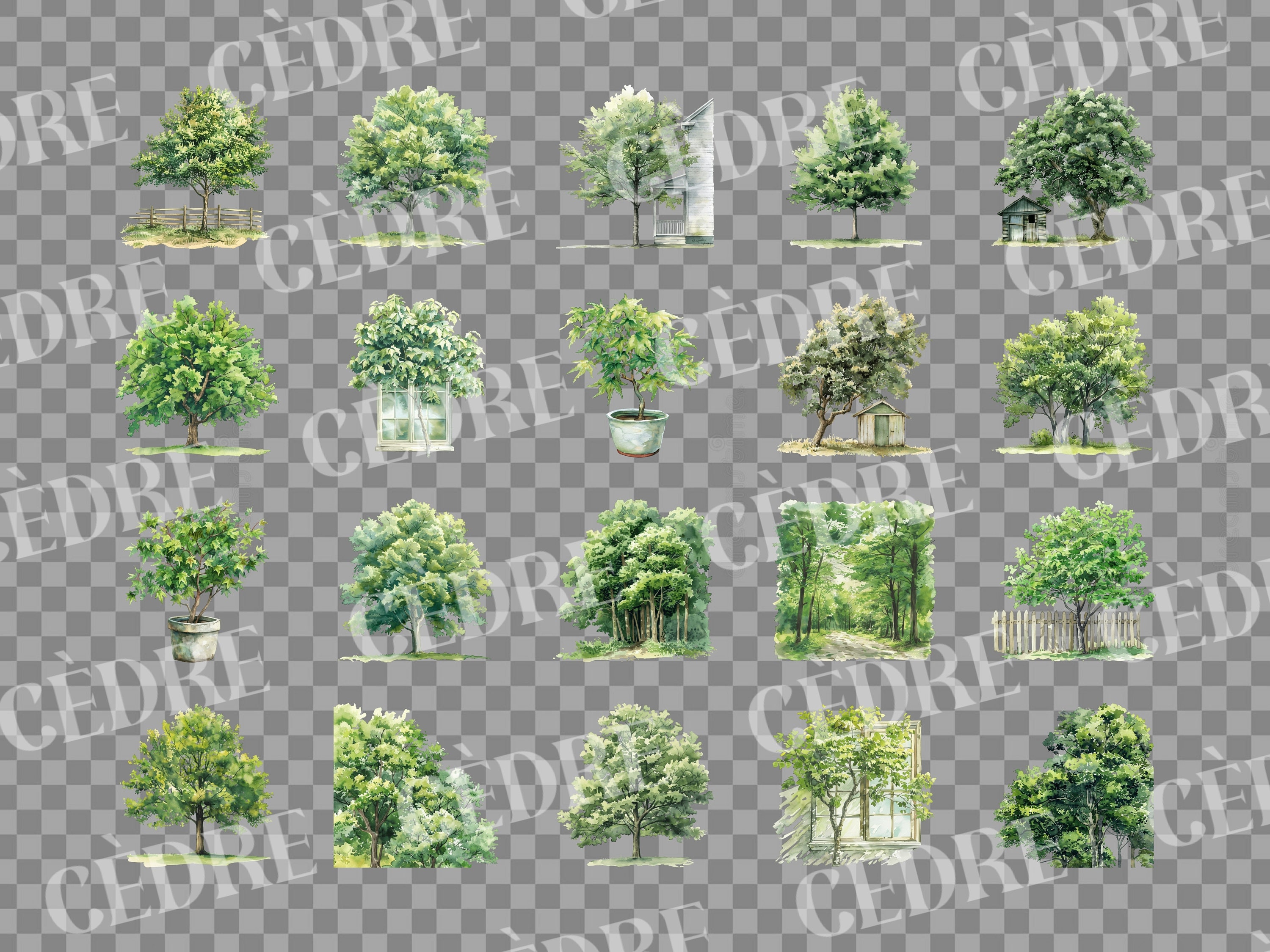 Watercolor Maple Tree Clipart, Green Maple Trees Clipart, Forest ...