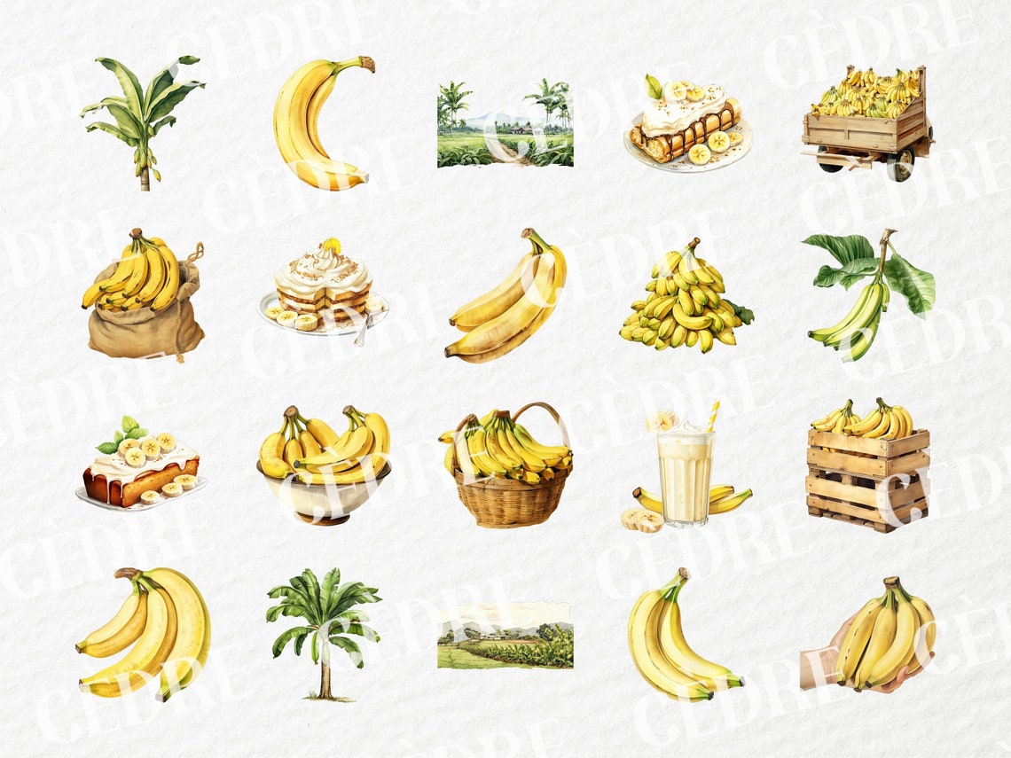 Watercolor Bananas Clipart, Yellow Banana Clipart, Fresh Tropical Fruit ...