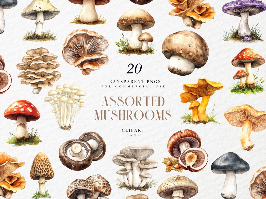 Watercolor Assorted Mushrooms Clipart, Botanical Fungi Graphics, Forest ...