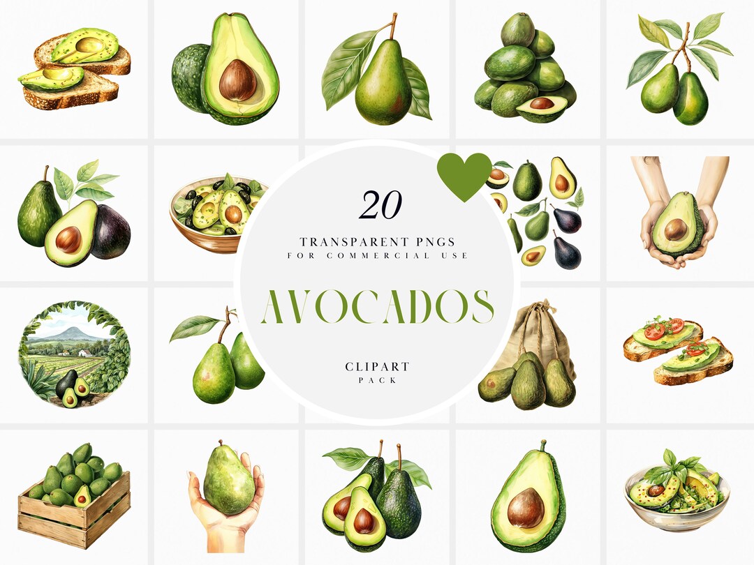 Watercolor Avocados Clipart, Green Avocado Clipart, Plant Avocado Fruit ...