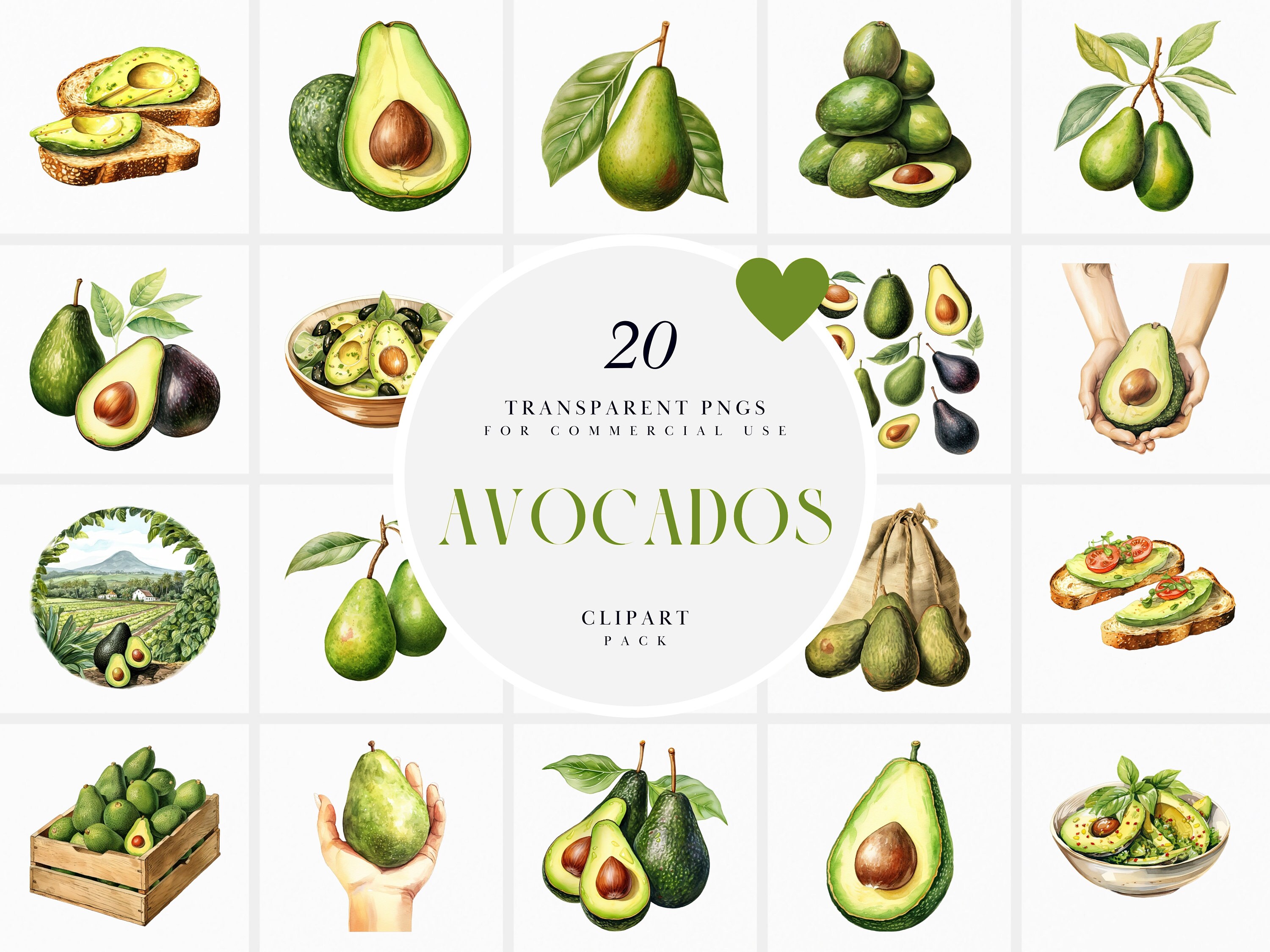 Watercolor Avocados Clipart, Green Avocado Clipart, Plant Avocado Fruit ...