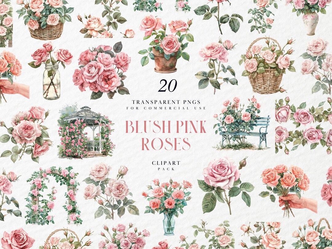 Watercolor Blush Pink Roses Clipart, Light Pink Bouquets and Floral ...