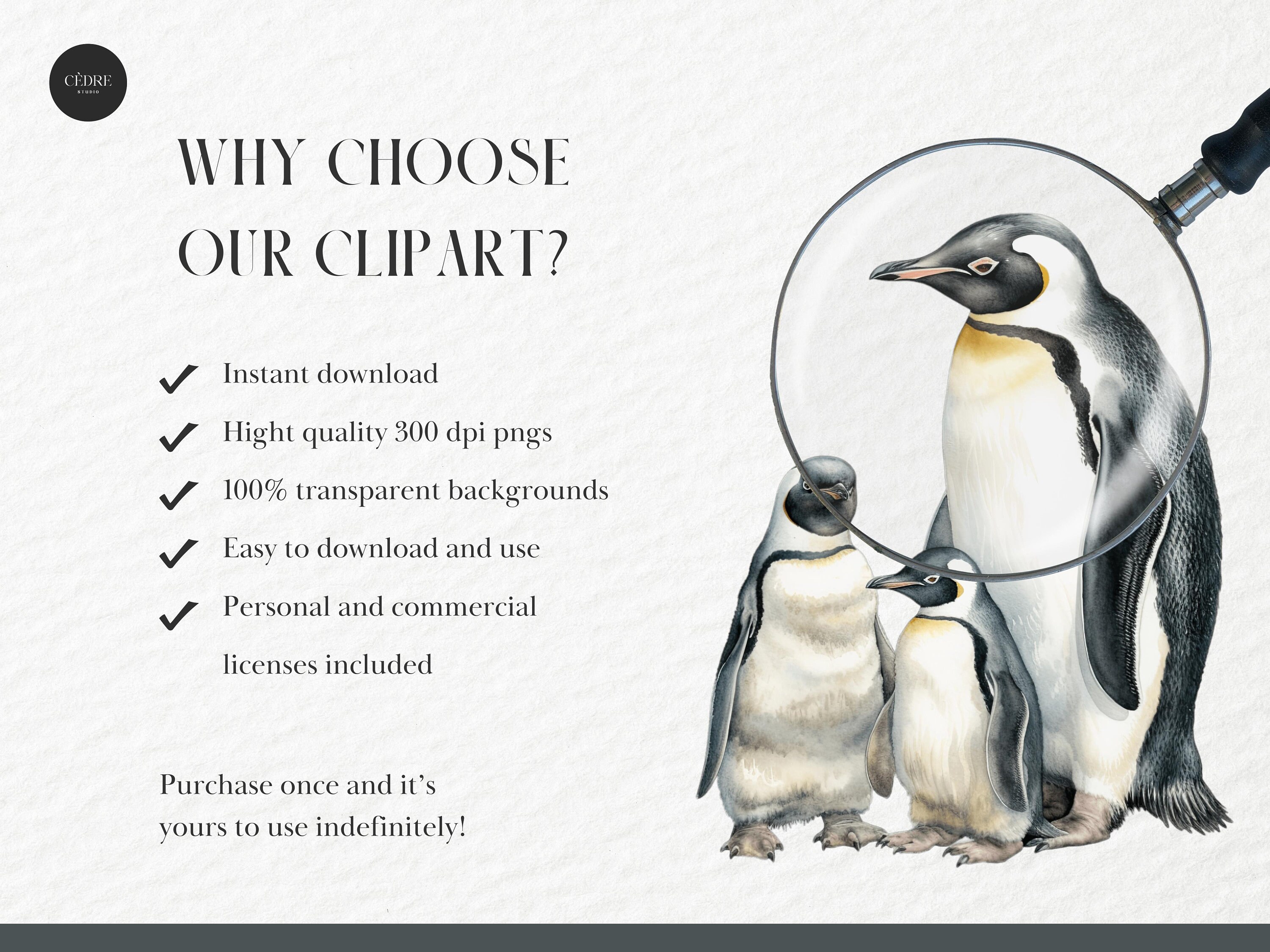 Watercolor Penguins Clipart, Cute Penguin Clipart, Arctic Animals ...
