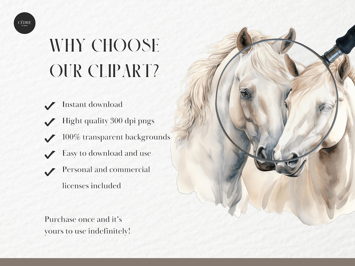 Watercolor White Horse Clipart, White Horses Clipart, White Pony ...