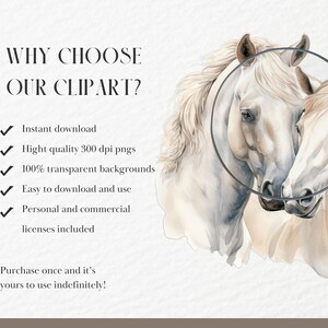 Watercolor White Horse Clipart, White Horses Clipart, White Pony ...