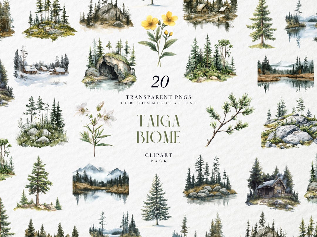 Watercolor Taiga Biome Clipart, Boreal Forest, Pine Trees, Snowy ...