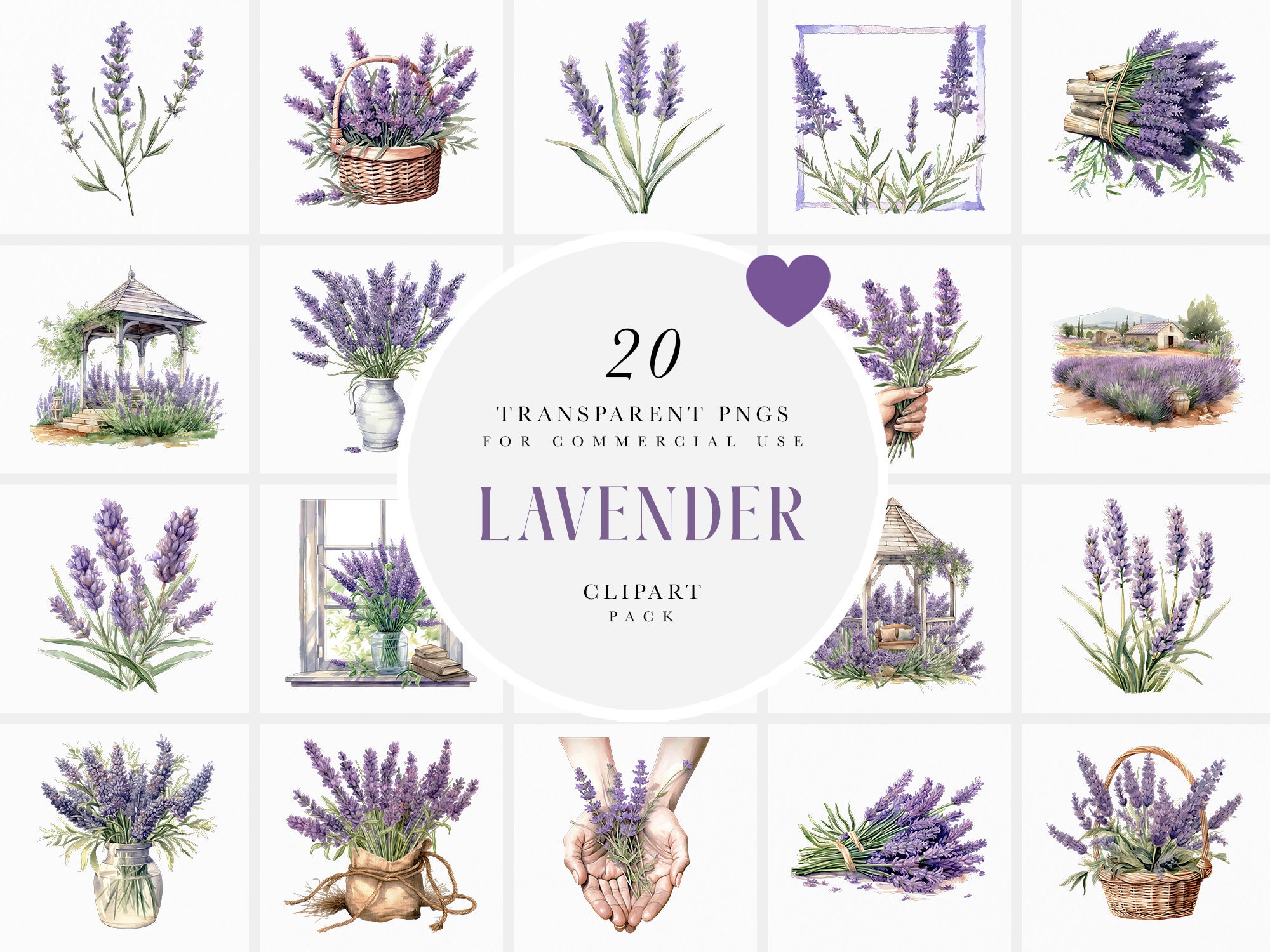 Watercolor Lavender Clipart Floral Lavender Feild Clipart - Etsy