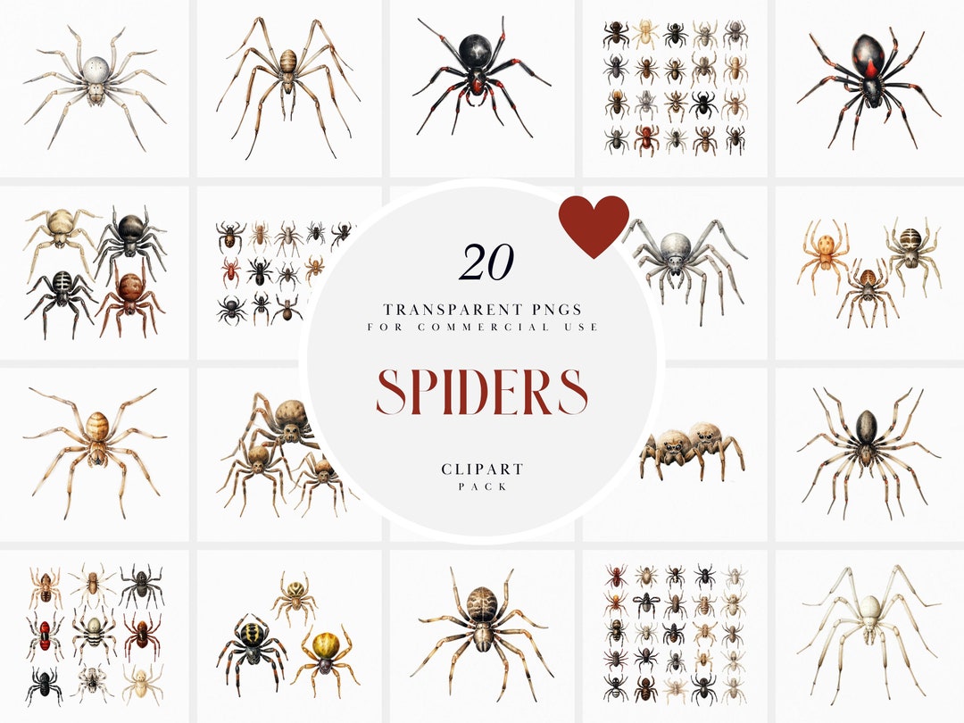Watercolor Spider Clipart, Halloween Spiders Clipart, Cute Pet House ...