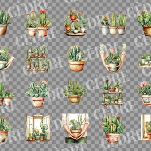 Watercolor Cactus Pot Clipart, Cacti Pot Clipart, Potted Cactus House ...