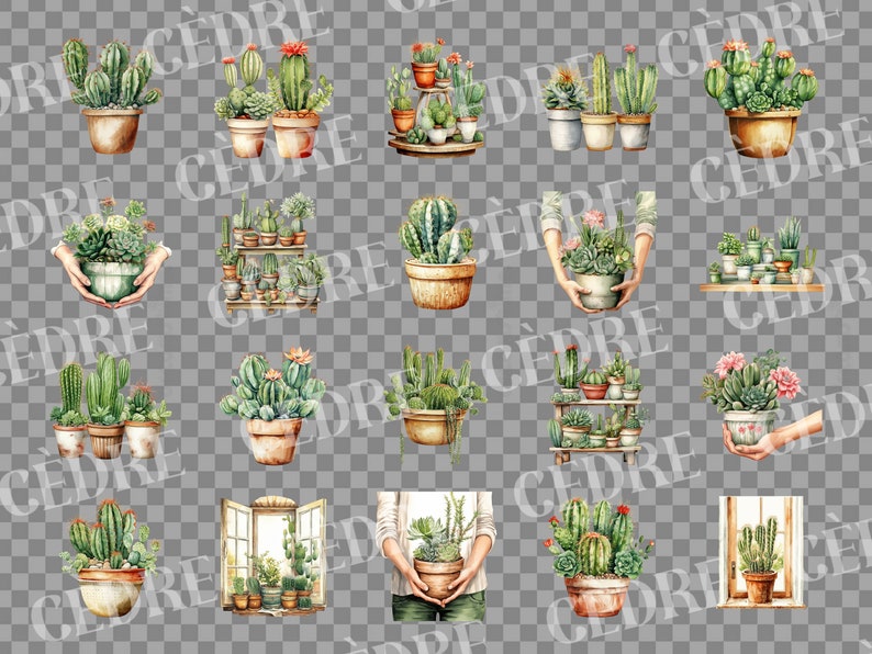 Watercolor Cactus Pot Clipart, Cacti Pot Clipart, Potted Cactus House ...