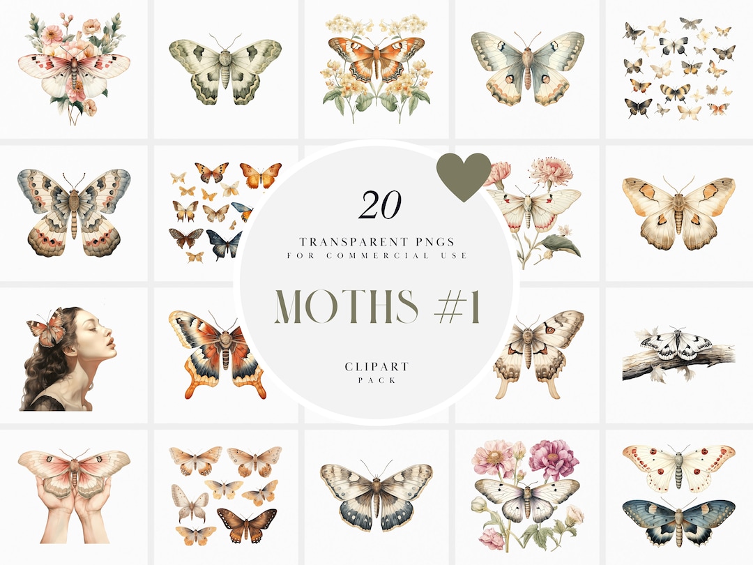 Watercolor Pastel Moth Clipart, Flying Pastel Moths Clipart, Woodland ...
