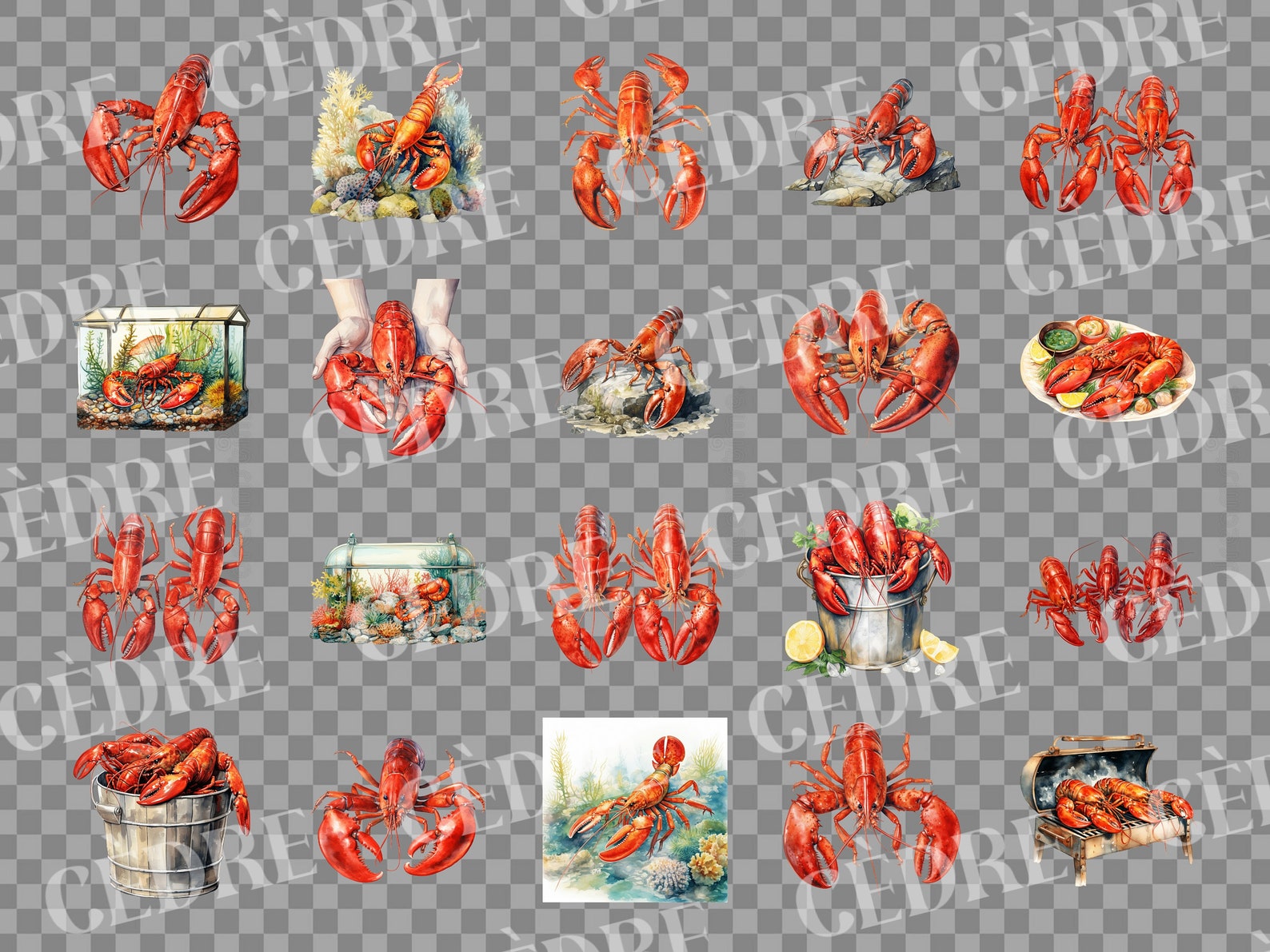 Watercolor Lobster Clipart, Sea Life Lobsters Clipart, Under the Sea ...