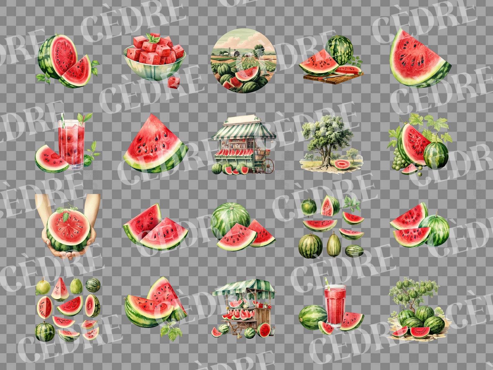 Watercolor Watermelon Clipart, Refreshing Watermelons Clipart, Summer ...