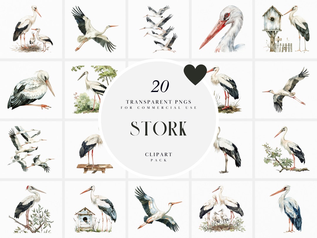 Watercolor Common Stork Clipart, Flying Storks Clipart, Baby Carrying ...
