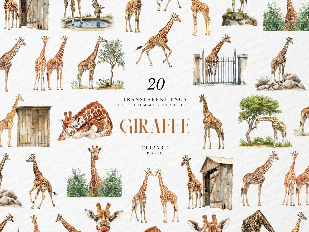 Watercolor Giraffe Clipart, Giraffes Safari Animal, African Wildlife ...