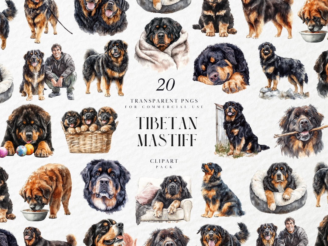Watercolor Tibetan Mastiff Clipart, Lion-mane Guardian Dog, Mountain ...
