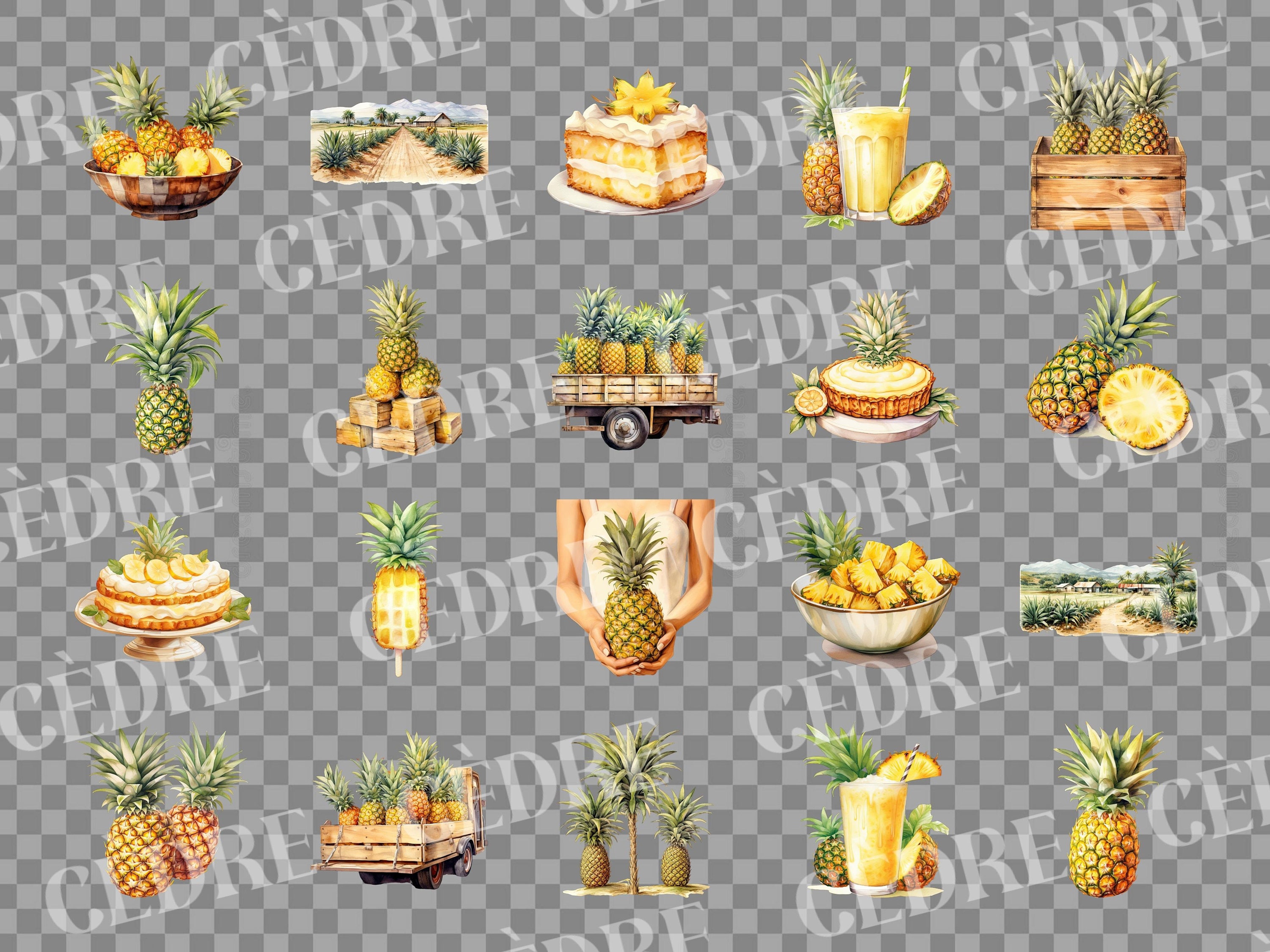 Watercolor Pineapple Clipart, Pineapples Clipart, Yellow Tropical ...
