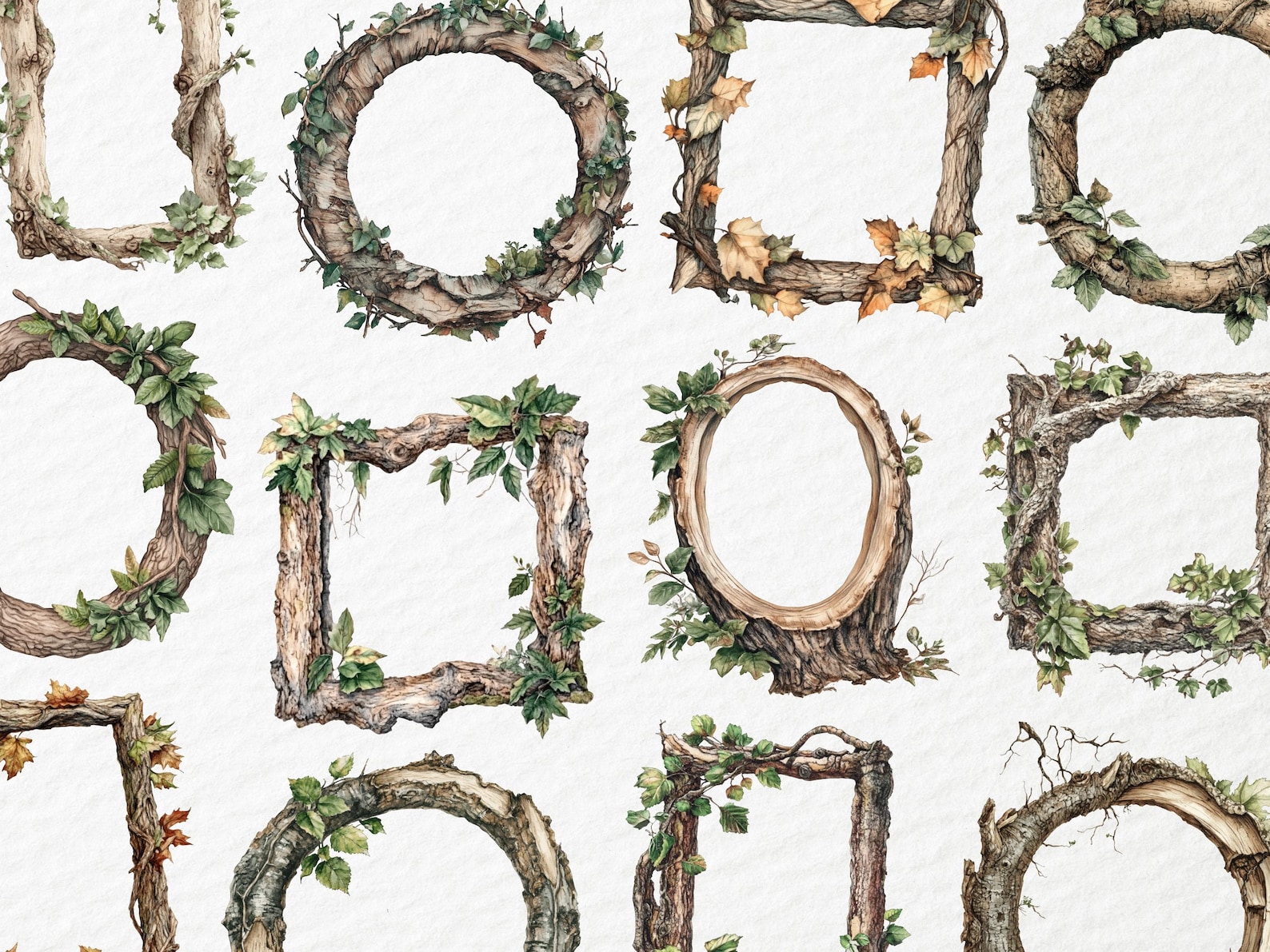 Watercolor Woodland Frames Clipart, Rustic Tree Branch Borders, Forest ...