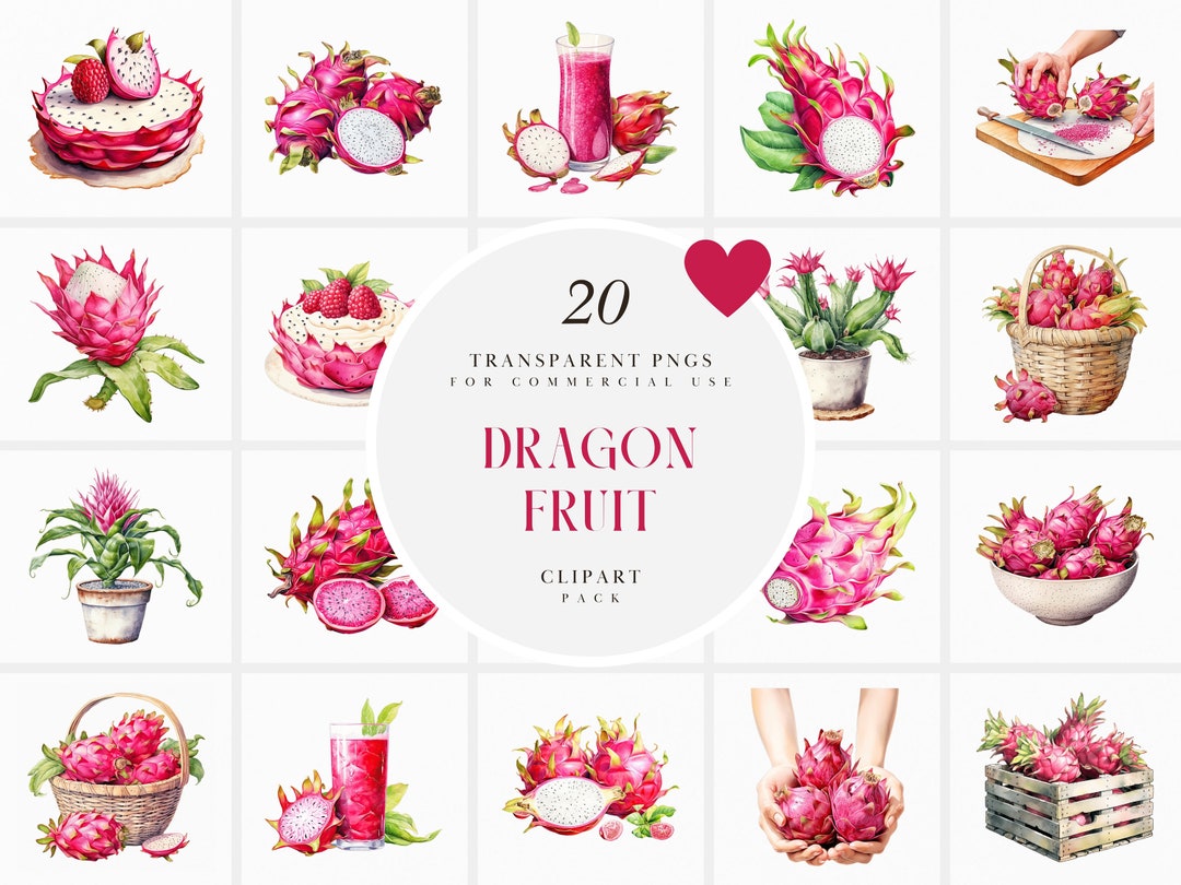 Watercolor Dragon Fruit Clipart, Dragon Fruits Clipart, Fresh Exotic ...