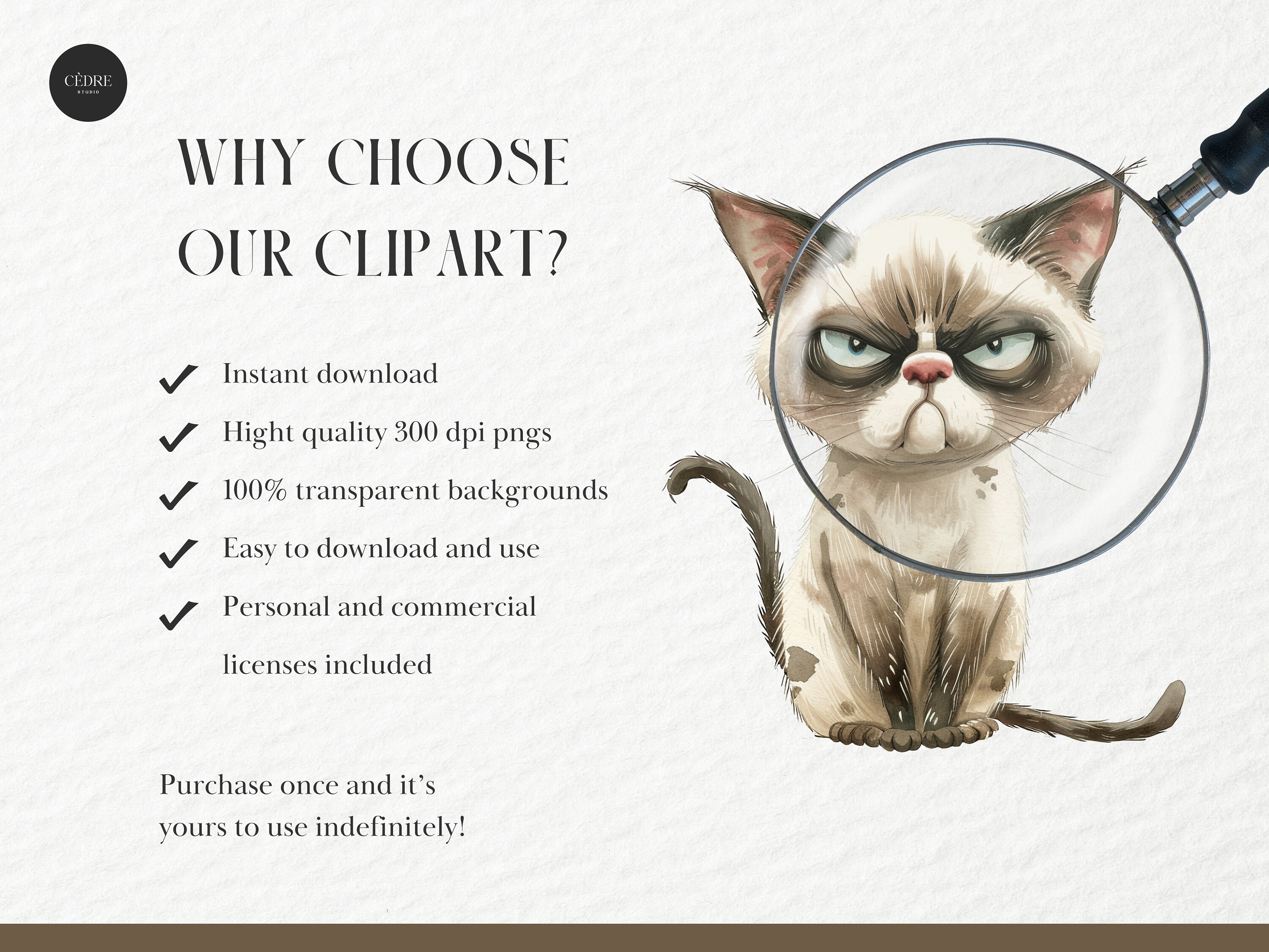 Watercolor Quirky Cats Clipart, Cute Funny Cats Clipart, Whimsical ...