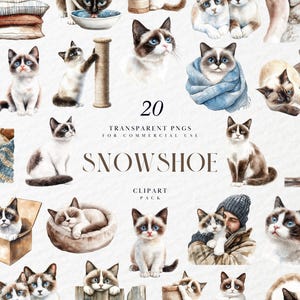 Watercolor Snowshoe Cat Clipart, Blue-eyed Tuxedo Kitten Art, Whiskered ...