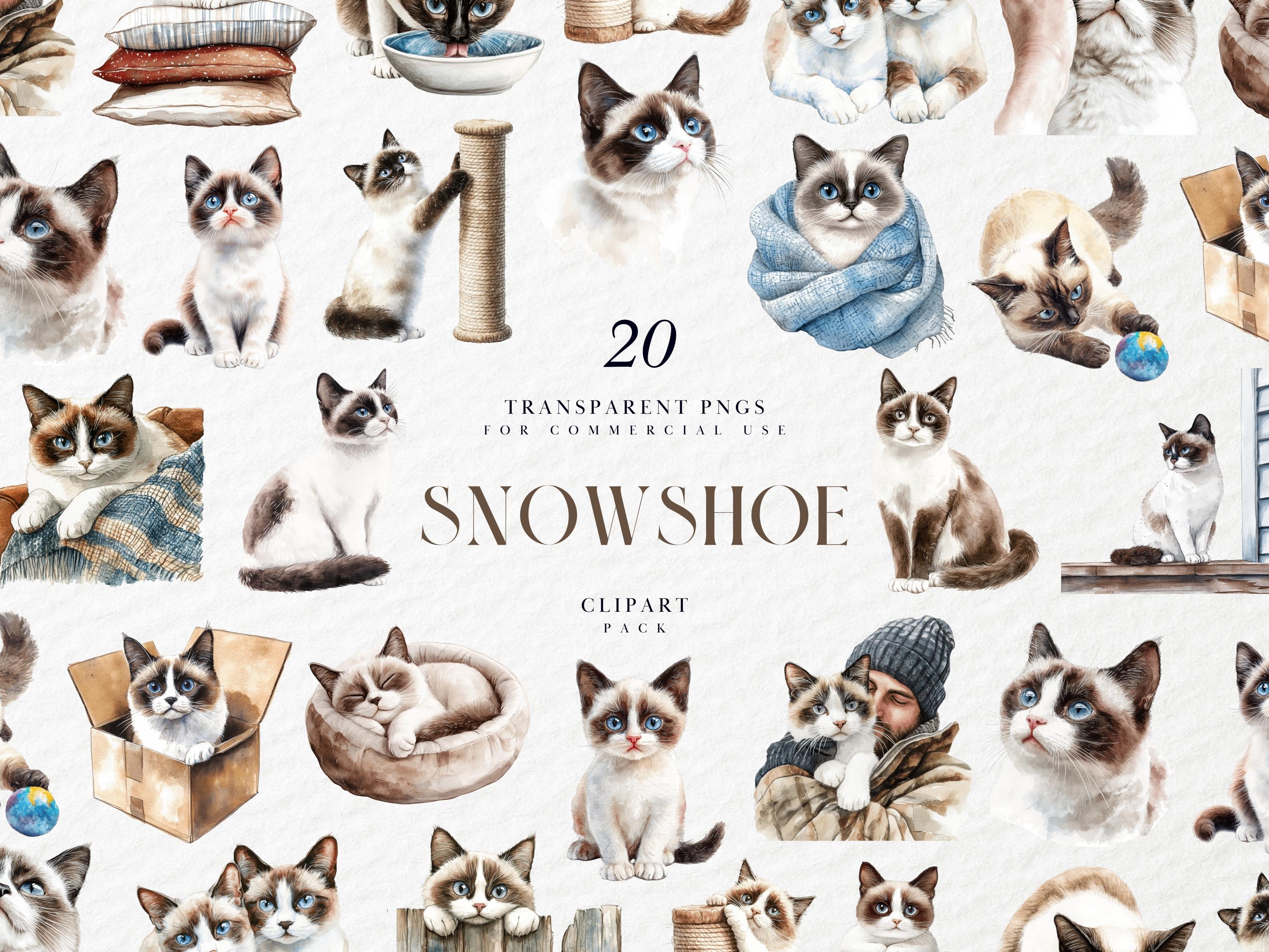 Watercolor Snowshoe Cat Clipart, Blue-eyed Tuxedo Kitten Art, Whiskered ...