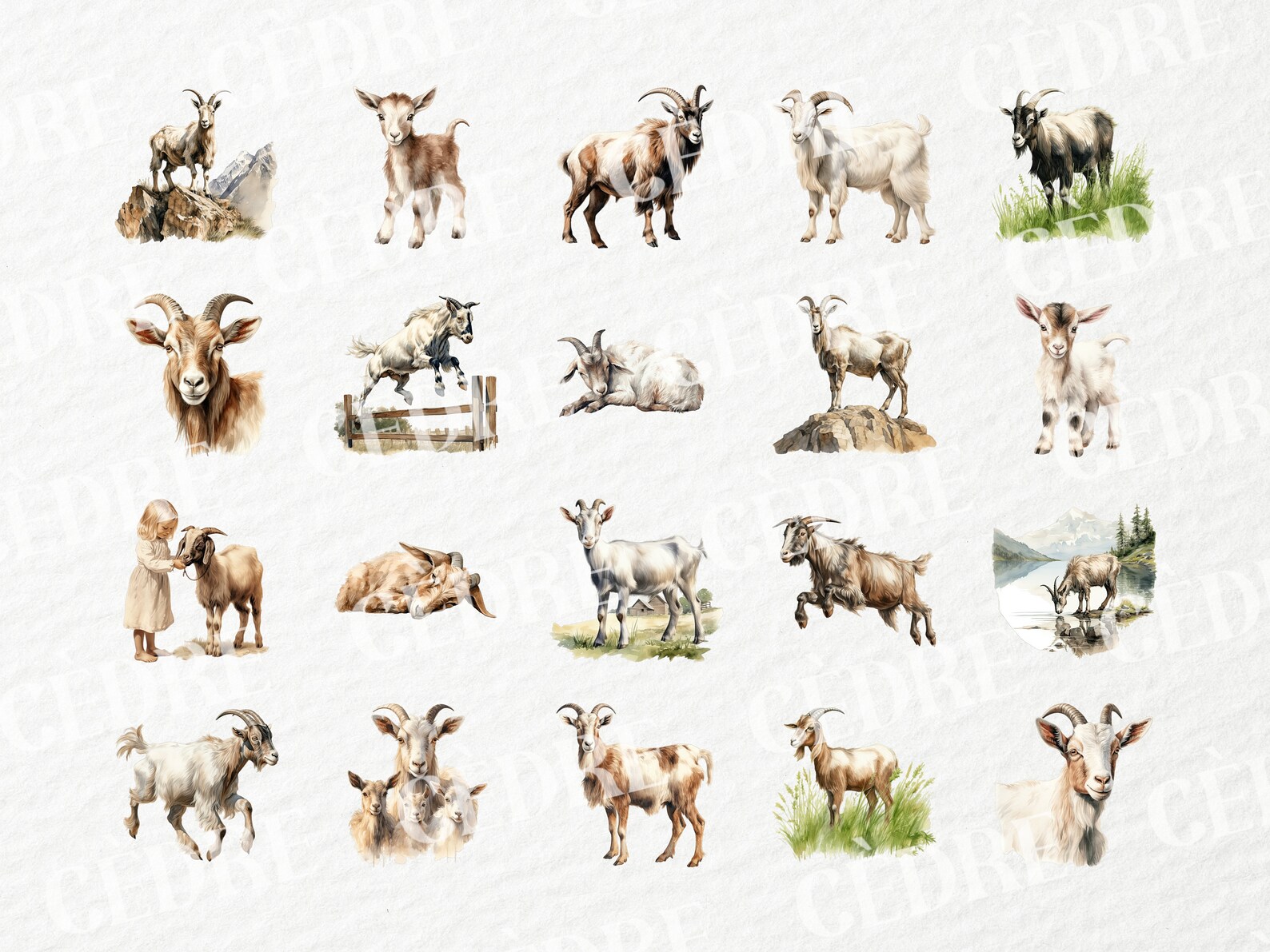 Watercolor Goat Clipart, Goats Clipart, Mountain Goat Clipart, Baby ...