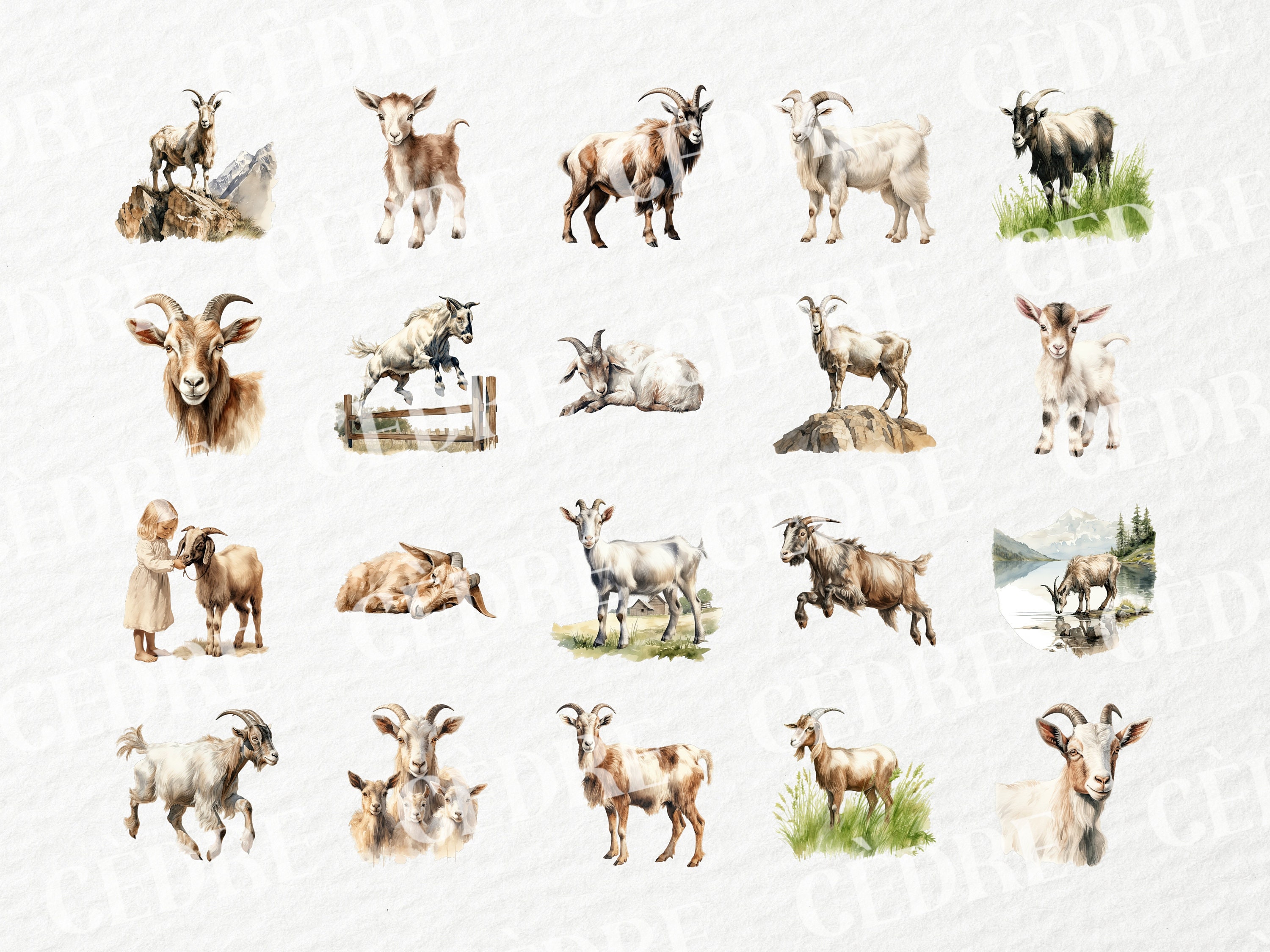 Watercolor Goat Clipart, Goats Clipart, Mountain Goat Clipart, Baby ...
