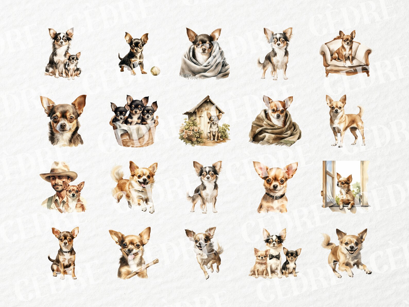 Watercolor Chihuahua Clipart, Chihuahuas Clipart, Puppies Toy Dog, Home ...