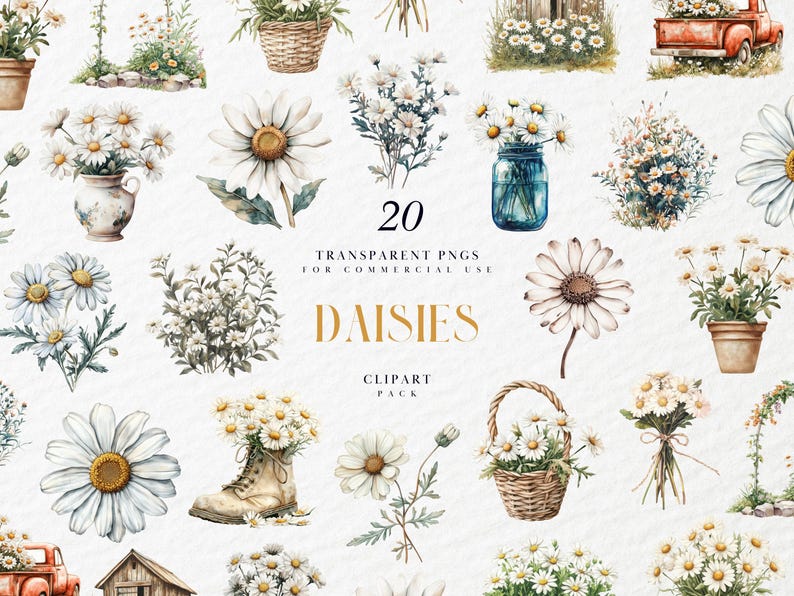Watercolor Daisies Clipart, Floral Daisy Clipart, Botanical Daisy ...