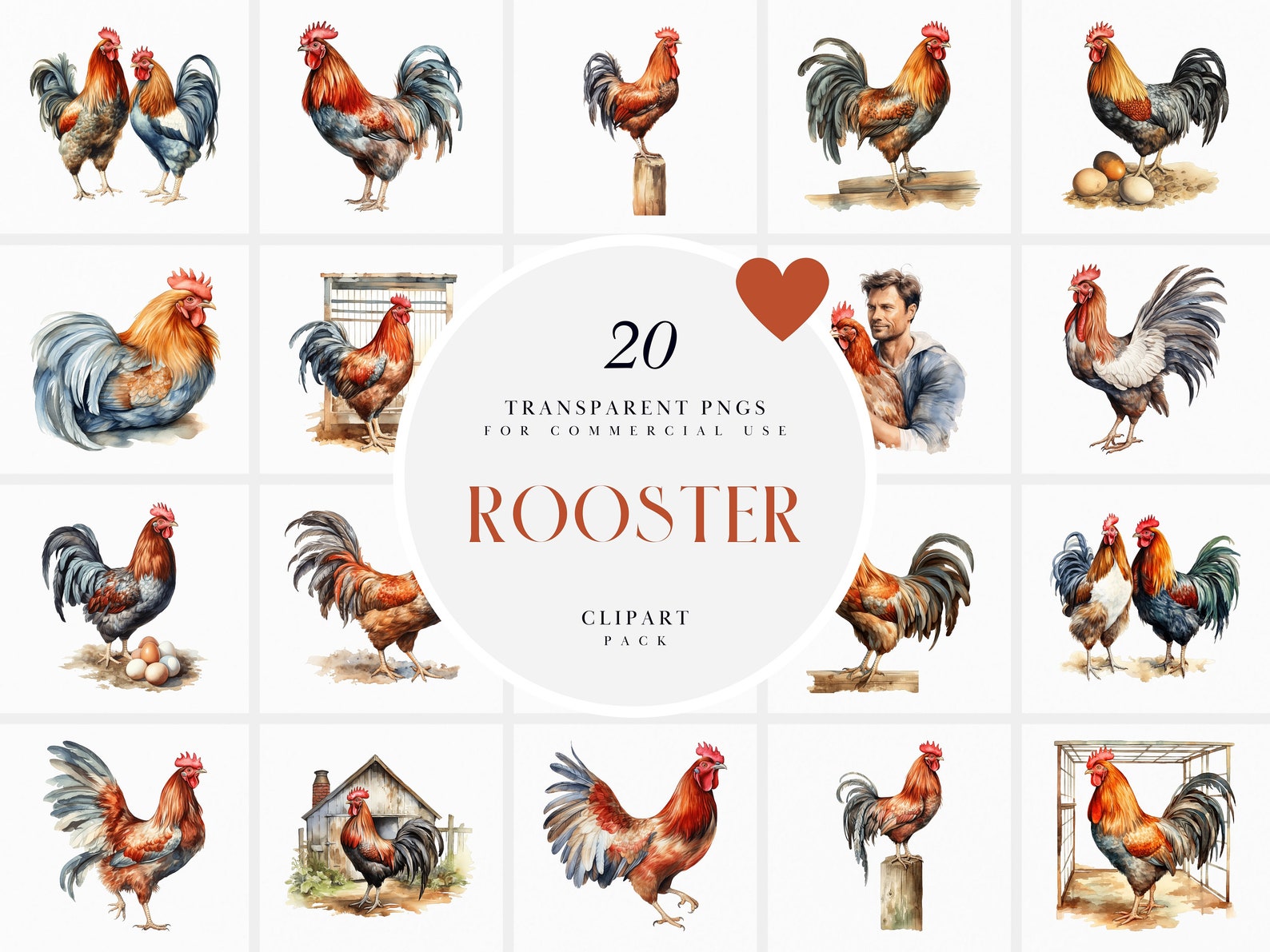 Watercolor Rooster Clipart, Common Chicken Clipart, Farm Life Roosters ...