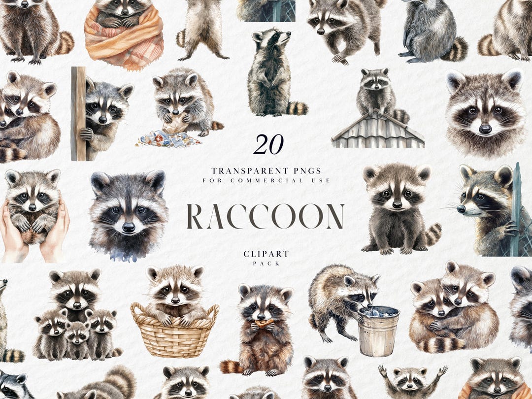 Watercolor Raccoon Clipart, Cute Woodland Animal, Baby Forest Critter ...