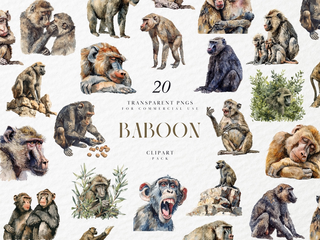 Watercolor Baboon Clipart, Realistic Zoo Animals Clipart, Primates ...
