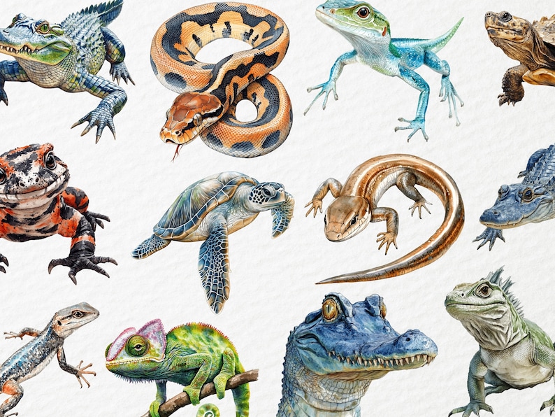 Watercolor Reptiles Clipart, Lizard Snake Turtle Alligator, Realistic ...