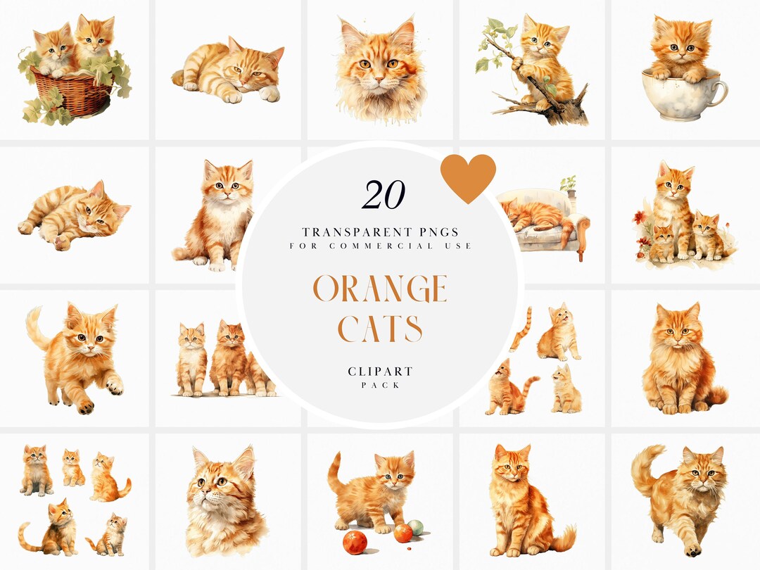 Watercolor Orange Cat Clipart, Cute Orange Cats Clipart, Pet Home Cat ...