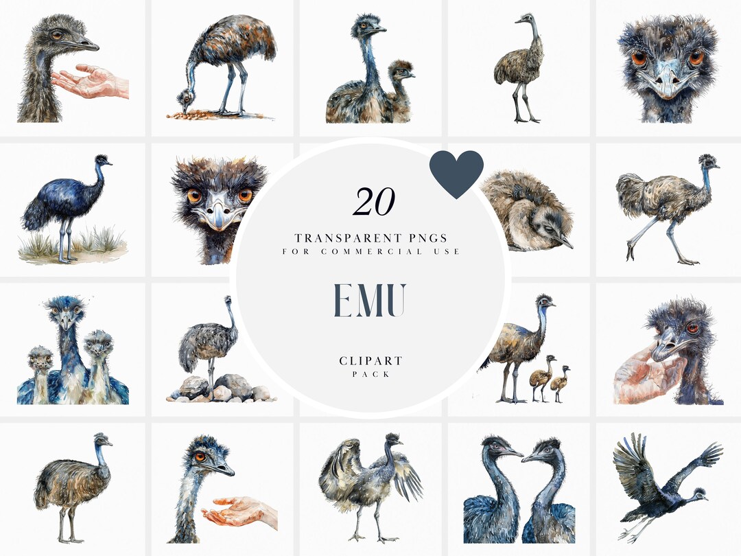 Watercolor Emu Clipart, Emus Clipart, Realistic Flightless Birds, Baby ...