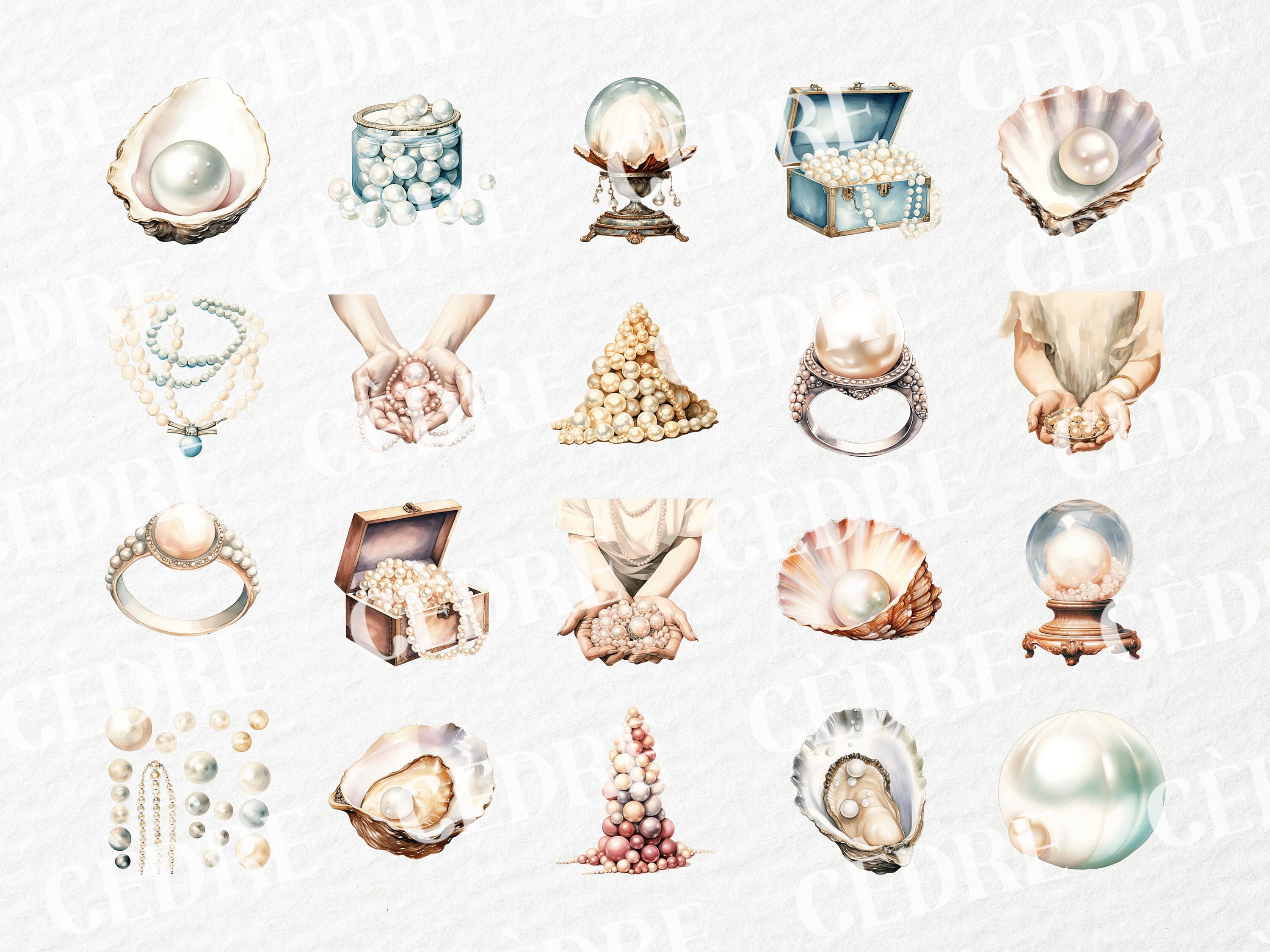 Watercolor Pearls Clipart, Precious Pearl Clipart, Nautical Lustrous ...