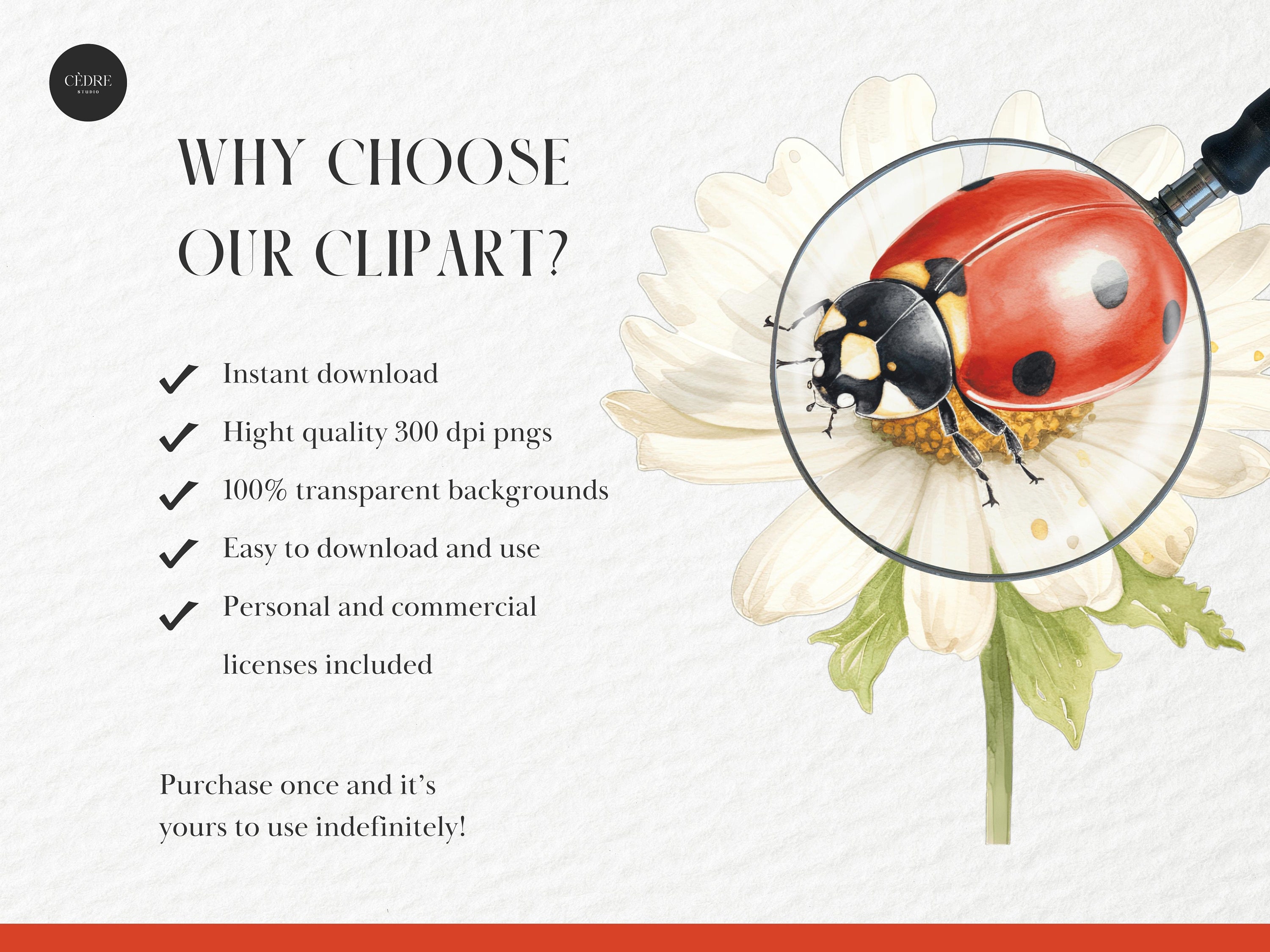 Watercolor Red Ladybugs Clipart, Flying Red Ladybug Bundle, Ladybird ...