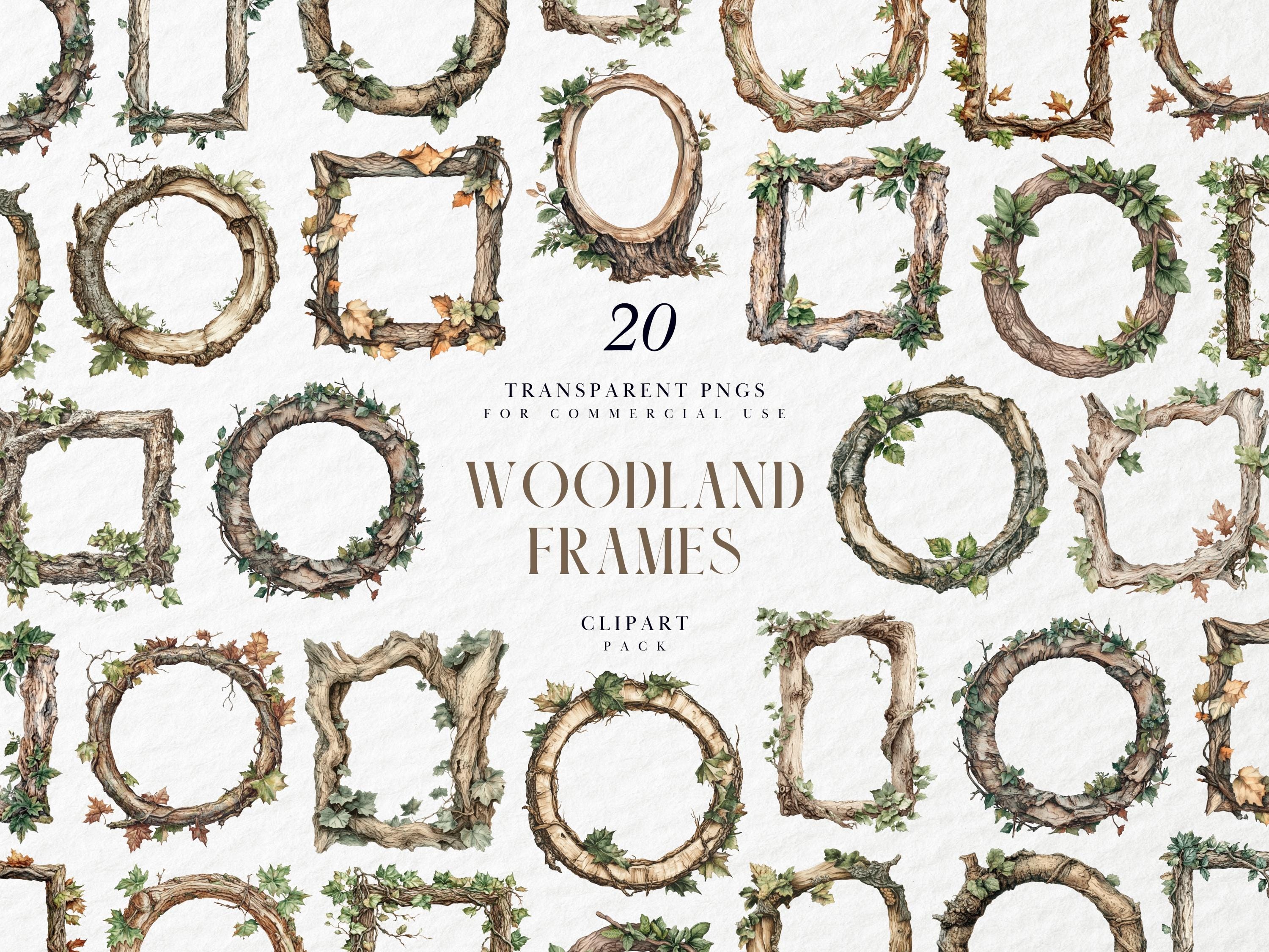 Watercolor Woodland Frames Clipart, Rustic Tree Branch Borders, Forest ...