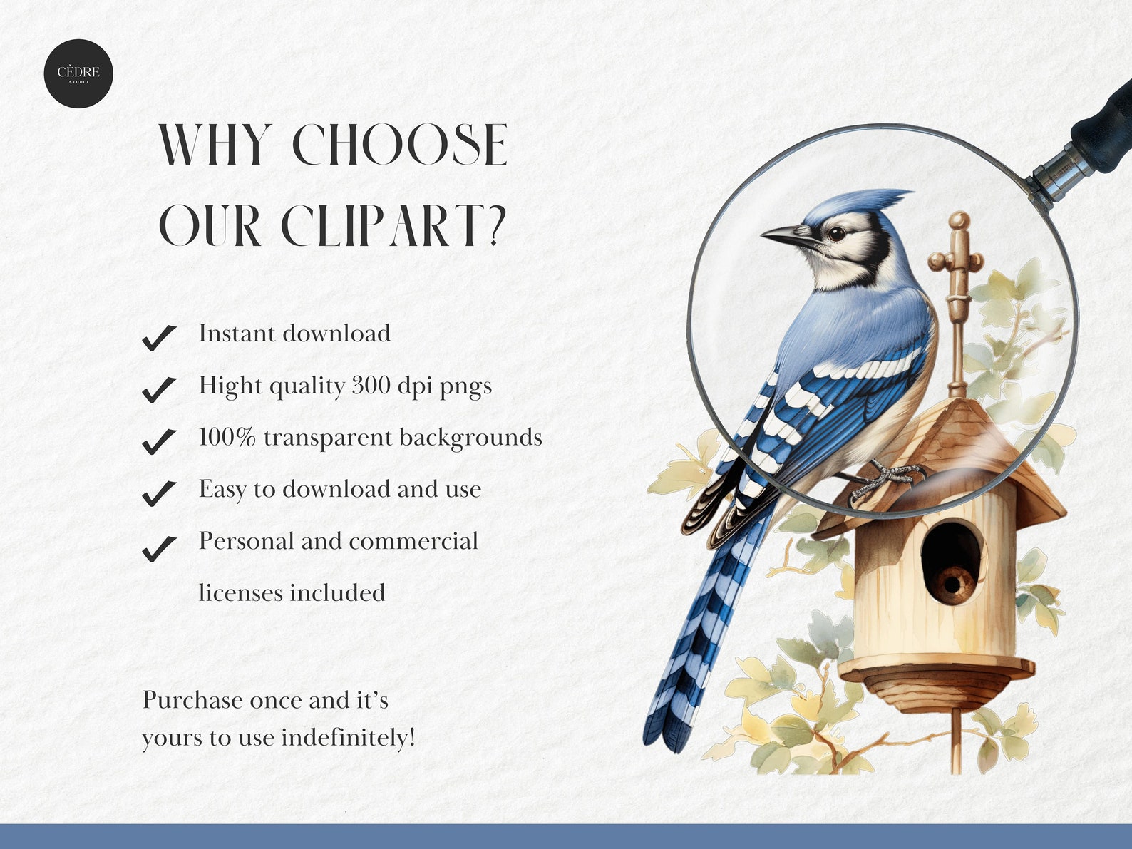 Watercolor Blue Jay Clipart, Flying Blue Jays Clipart, Chirping Blue ...