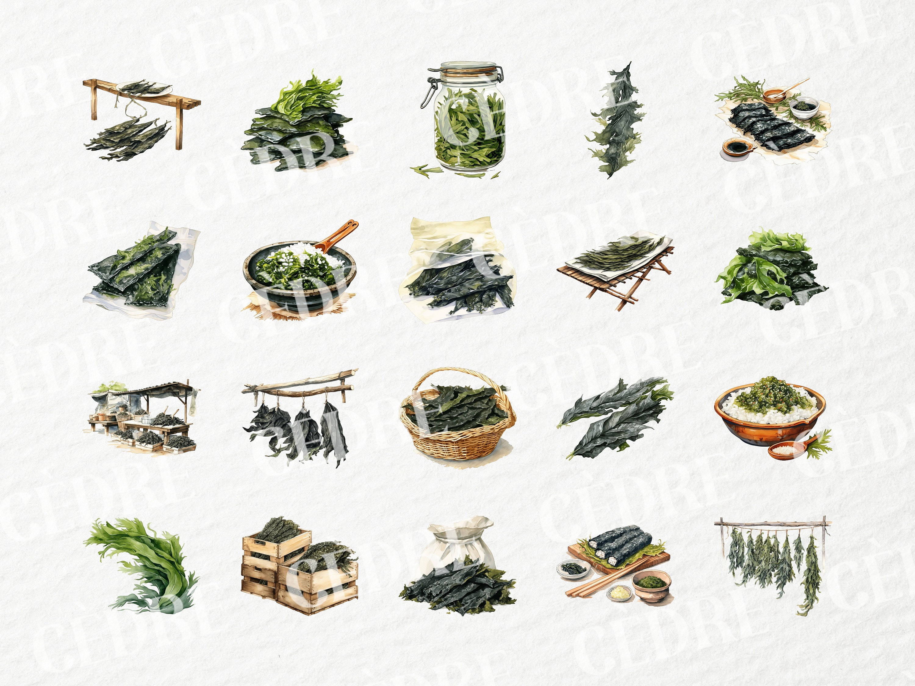 Watercolor Dried Seaweed Clipart, Edible Seaweed Sheets, Nori, Gim ...