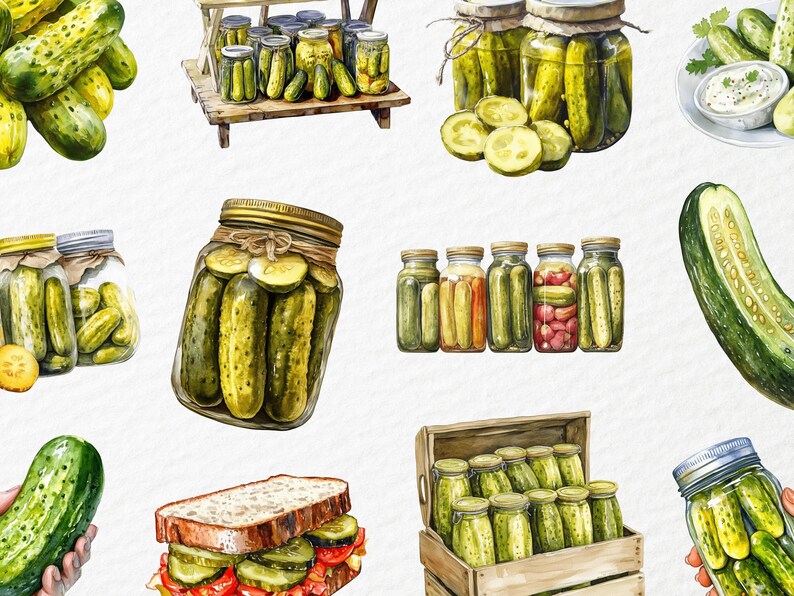 Watercolor Pickles Clipart, Sour Pickle Jar, Marinated, Pickled ...