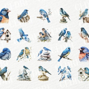 Watercolor Blue Finch Clipart, Flying Blue Finches Clipart, Chirping ...