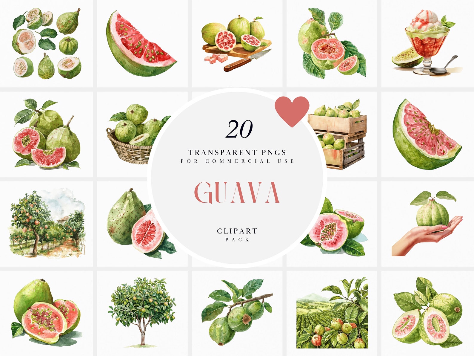 Watercolor Guava Clipart, Tropical Fruit Plant, Sweet Guavas, Tree ...