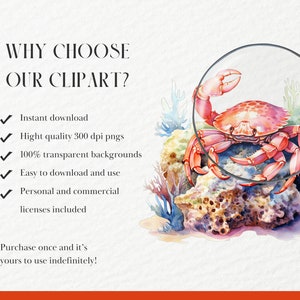 Watercolor Crab Clipart, Sea Life Crabs Clipart, Under the Sea ...