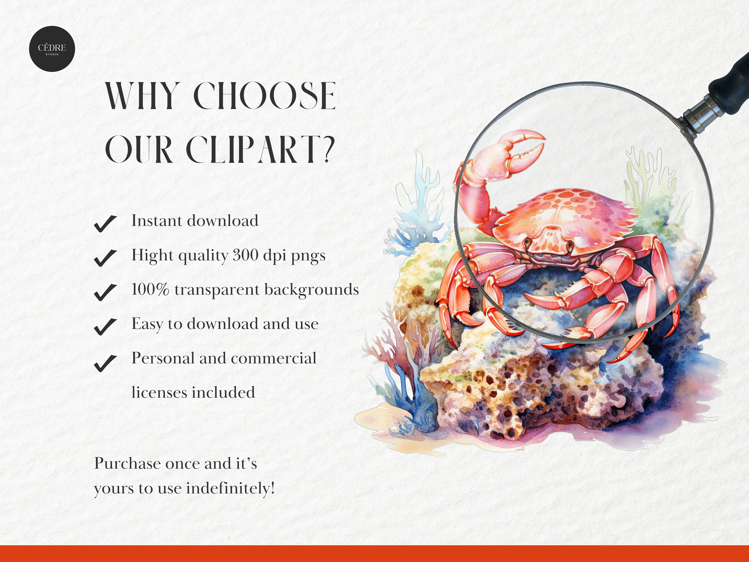Watercolor Crab Clipart, Sea Life Crabs Clipart, Under the Sea ...