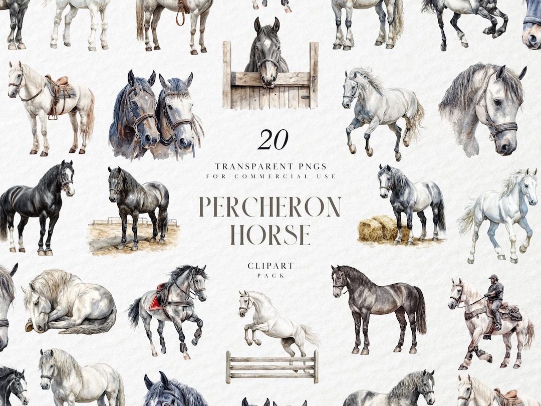 Watercolor Percheron Horse Clipart, Draft Farm Animal Decor, French ...