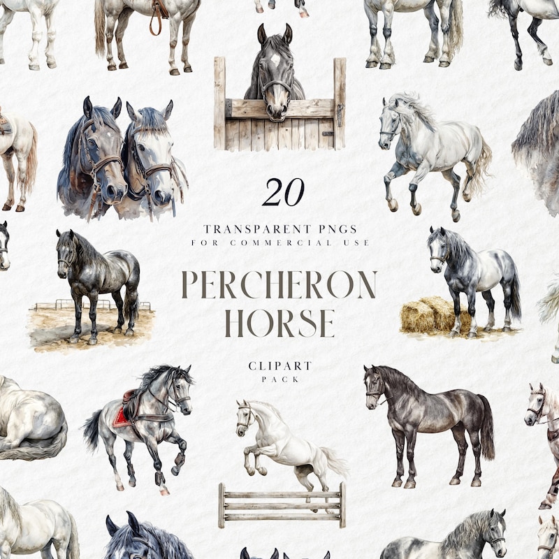 Percheron - Etsy
