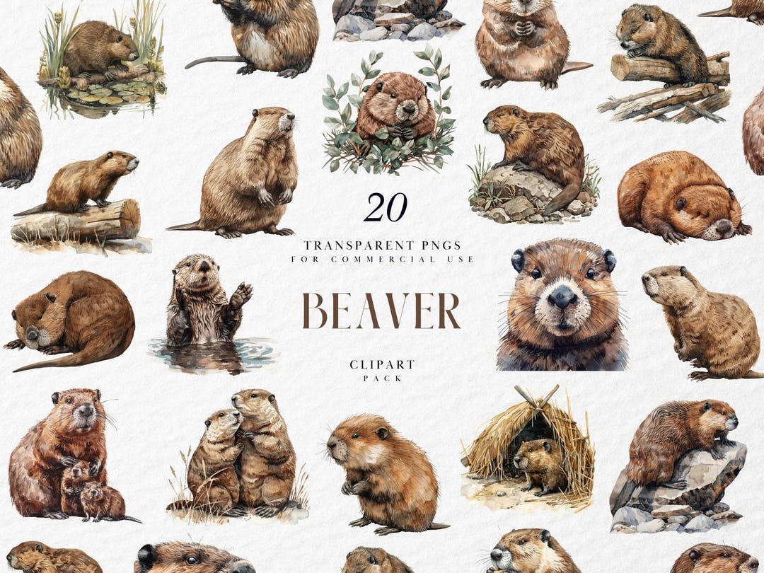 Watercolor Beaver Clipart, Realistic Beavers, Rodents, Canada Zoo ...