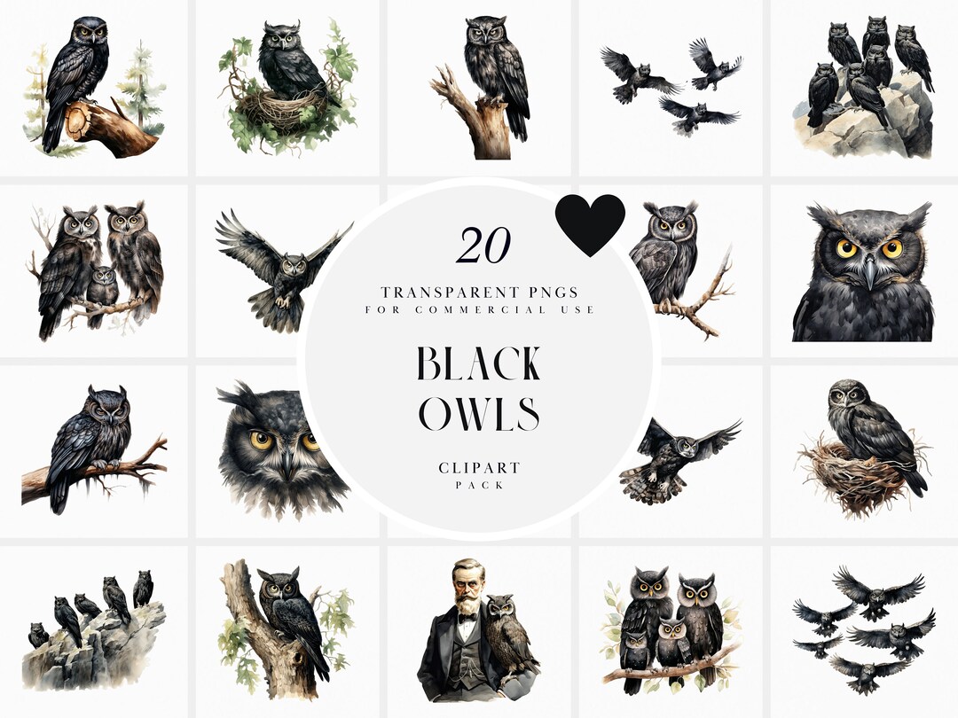 Watercolor Black Own Clipart, Flying Black Owls Clipart, Wise Old Owl ...